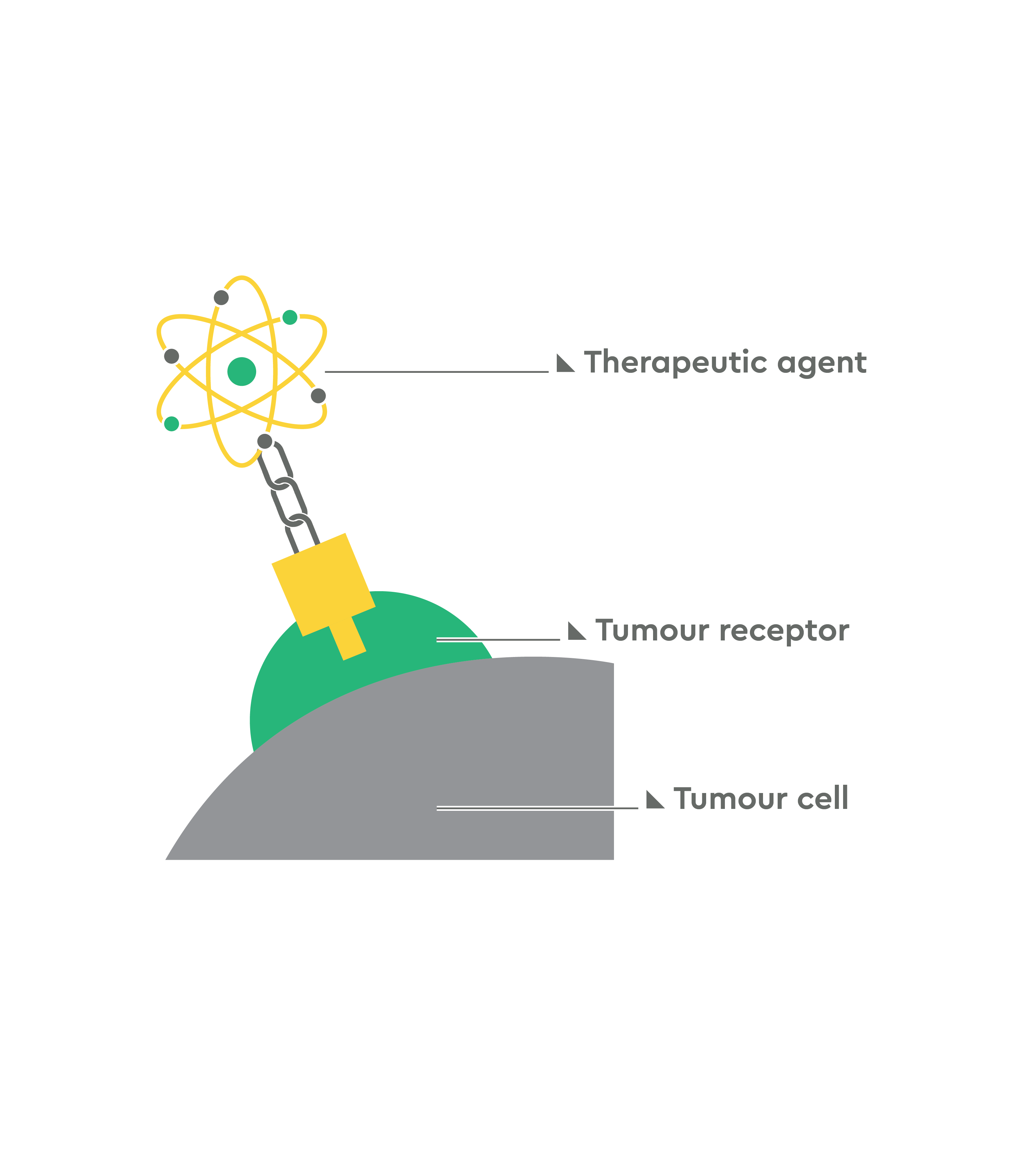 Theranostics - Definition and Treatment | GenesisCare AU